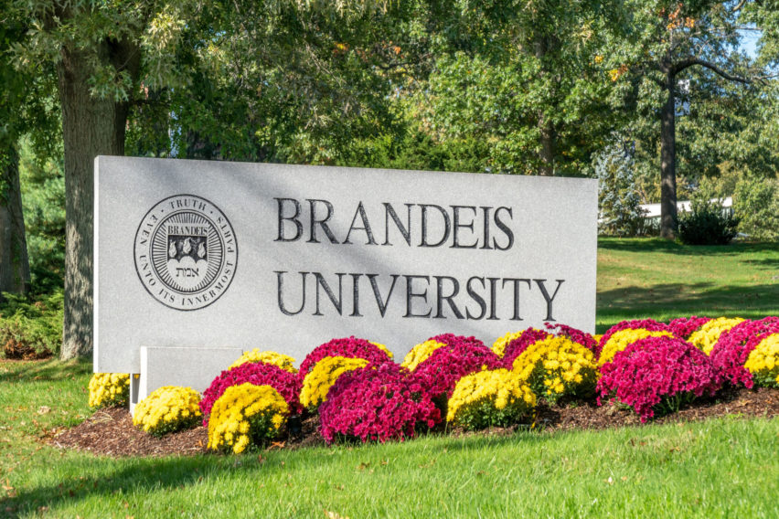 How to Get Into Brandeis University: Acceptance Rate & Admissions ...