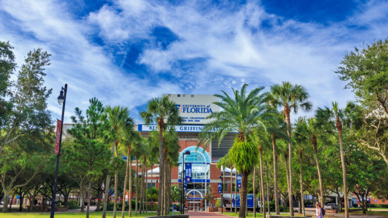 University of Florida Transfer Acceptance Rate — 2025