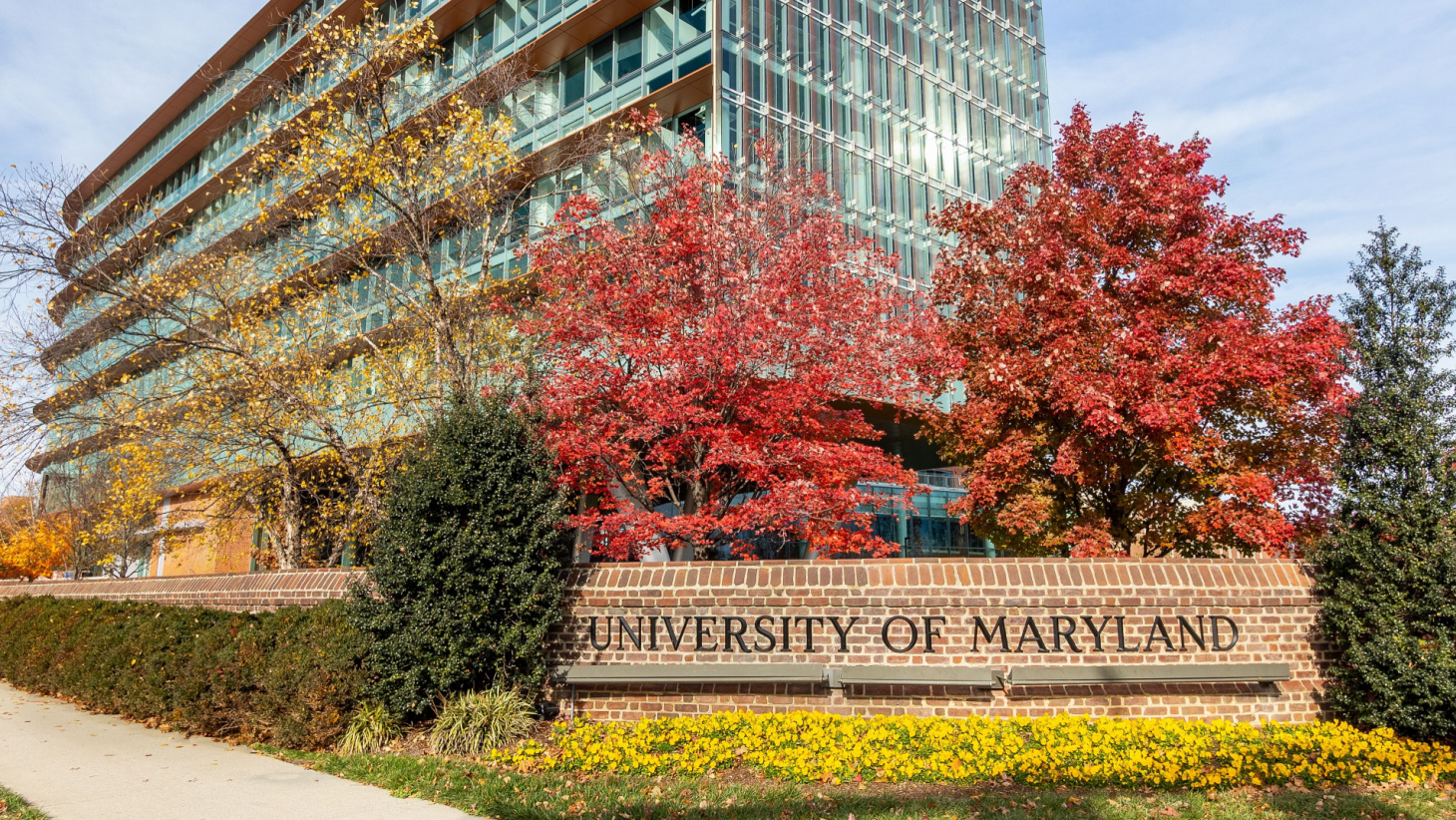 UMD Transfer Acceptance Rate And Requirements 2024 UMD Transfer Acceptance Rate And Requirements 2024