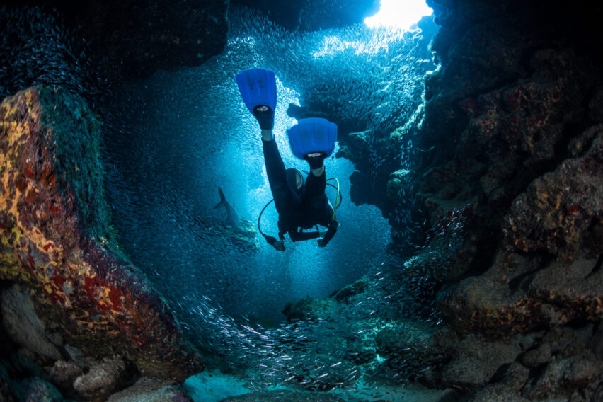 Best Summer Travel Programs For High School Students 2023 College