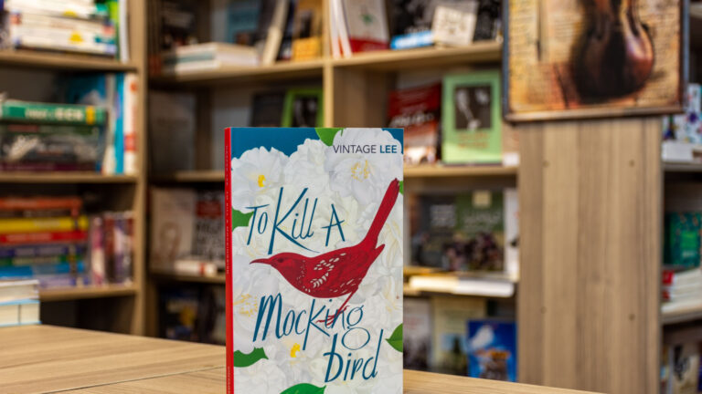 To Kill a Mockingbird Characters - College Transitions