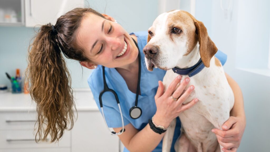 2025 Best Animal Science Colleges - College Transitions