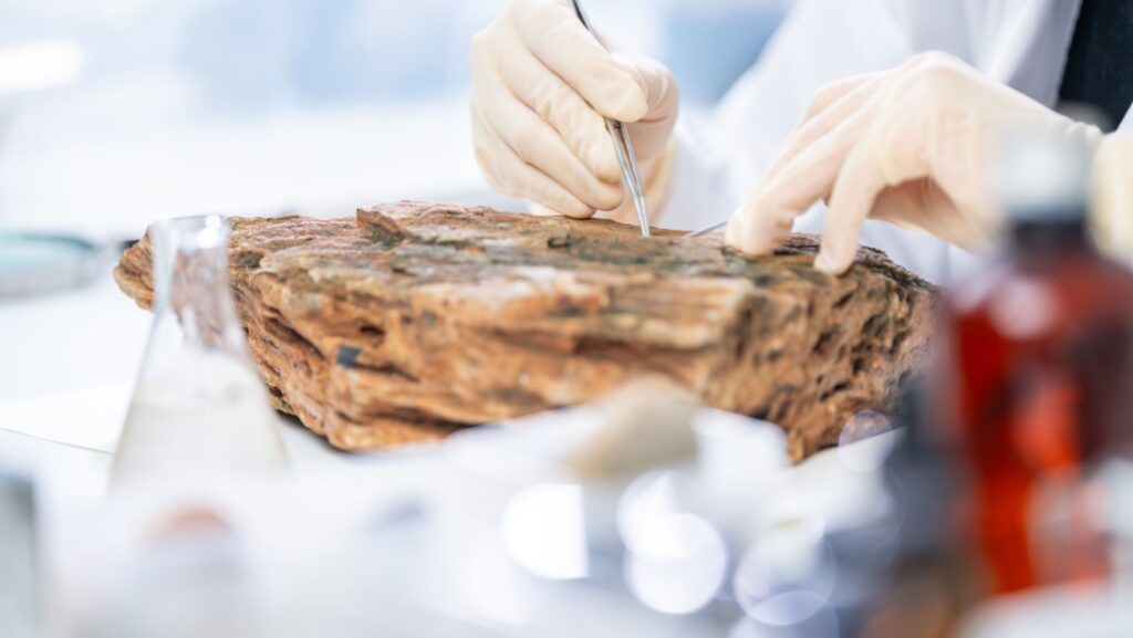 2025 Best Colleges for Geology - College Transitions