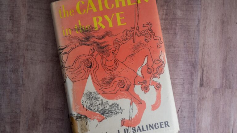 Catcher In The Rye Chapter By Chapter Summary College Transitions